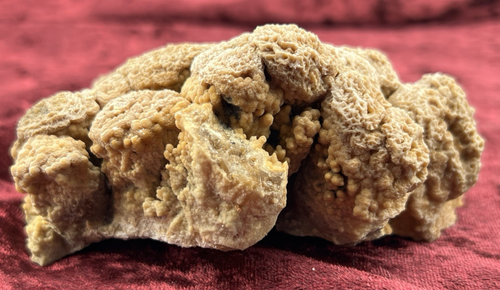 Rare and Unique Mushroom Aragonite/Cave Calcite El Potosi Mine, Mex ...