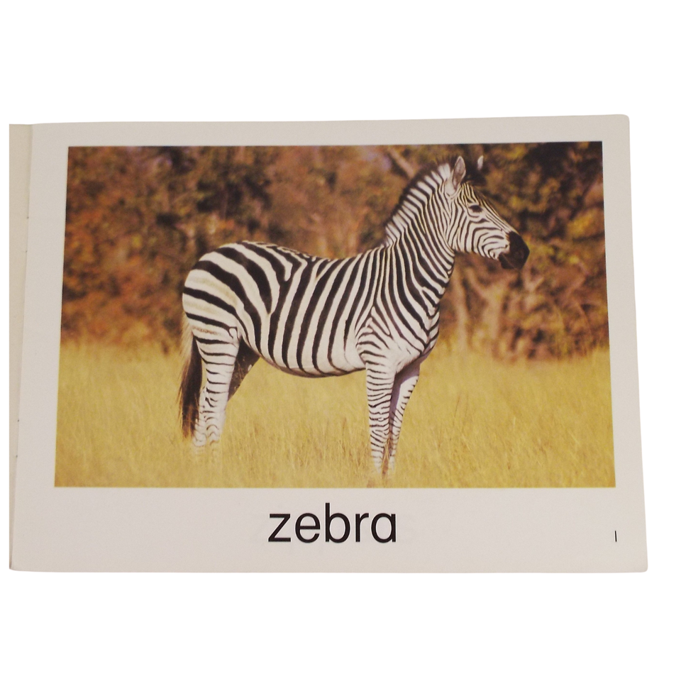 Steck-Vaughn Phonic Readers Plus: Early Reader ~Level Zz ~ Alphabet ...