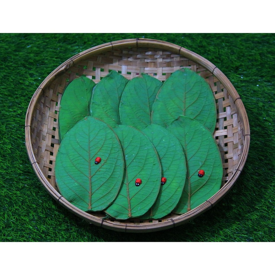 Rare bag handmade realistic leaf small large wallet art hipster weird ...