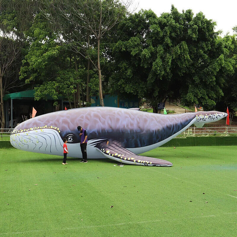 Giant Inflatable Whale Inflatable Orca Sale Humpback Whale Toys for ...