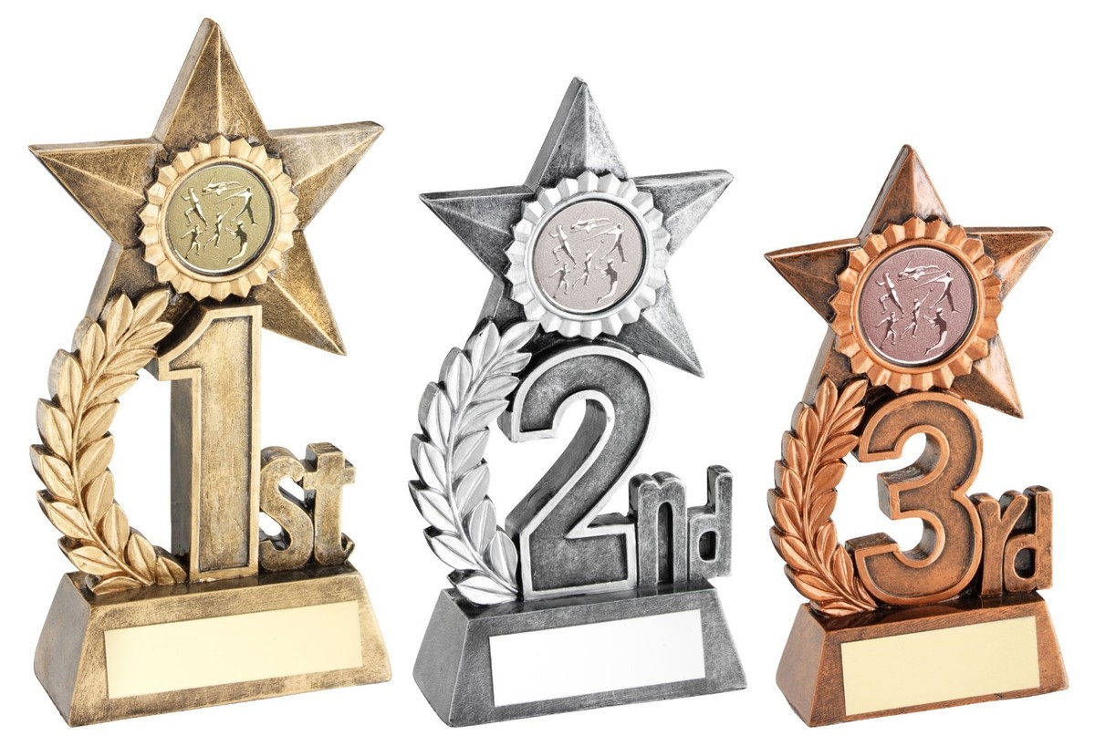 3rd Place Award