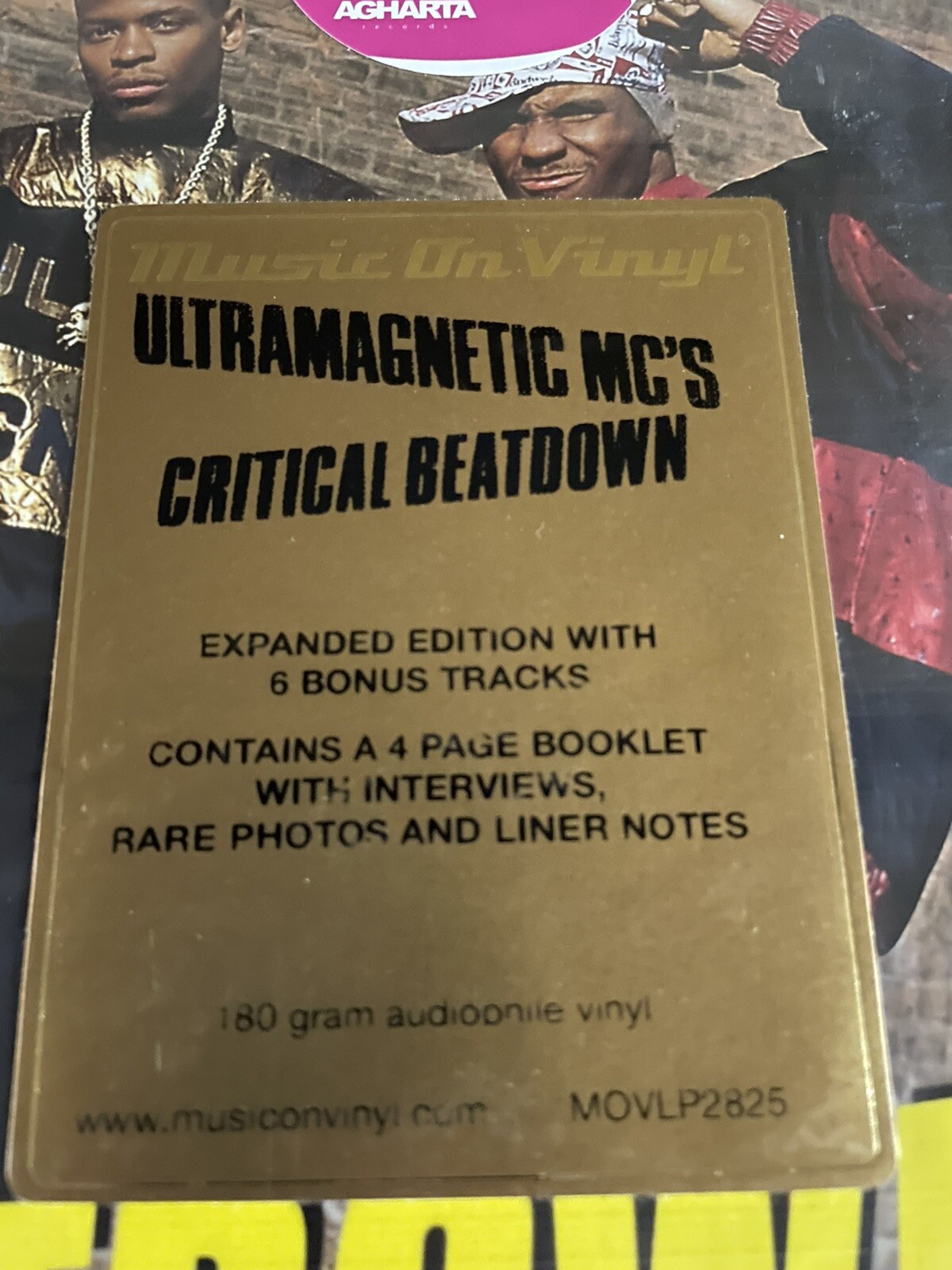 Critical Beatdown [Expanded Edition, 180-g Black Vinyl] by ...