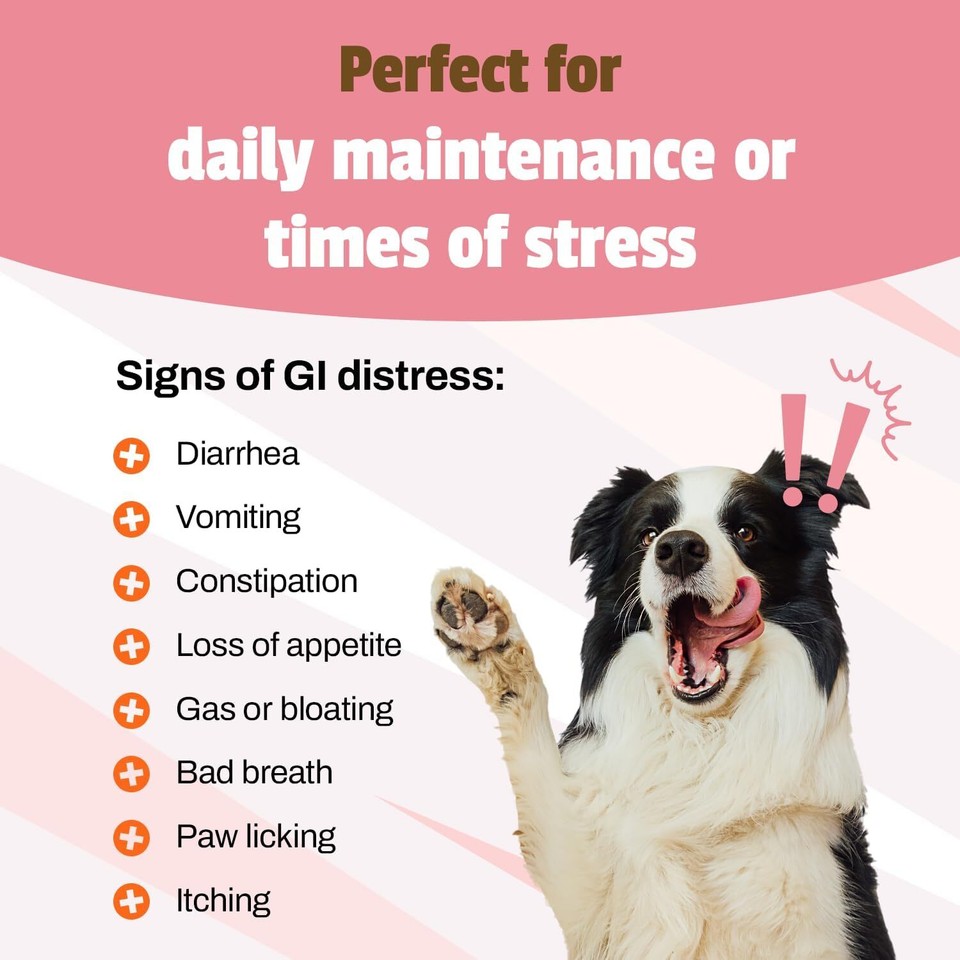 Pet Naturals of Vermont - Daily Probiotic for Dogs Digestive Health 60 ...