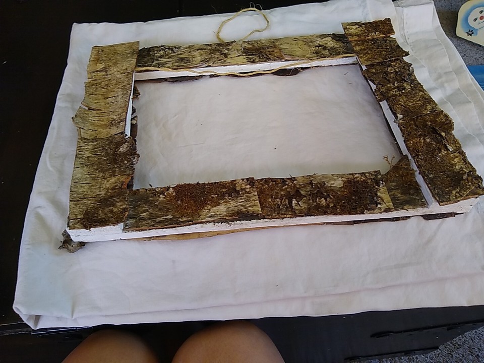 Handmade Minnesota Mossy Birch Bark Hanging Picture Frame | eBay