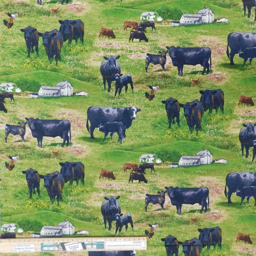 Quilting Patchwork Sewing Fabric Black Angus Cows 50x55cm FQ | eBay