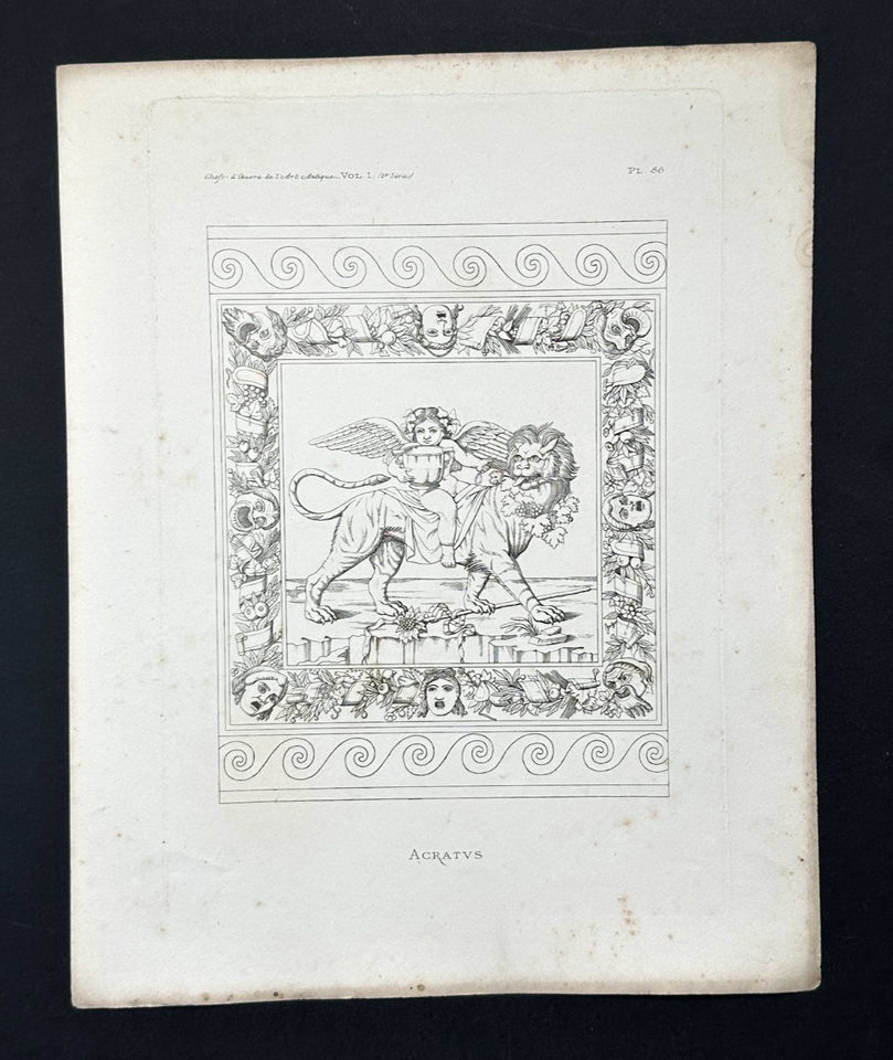 Engraving Xixth Antiquity Curiosa Acratus Mythology Art Antique Lion ...