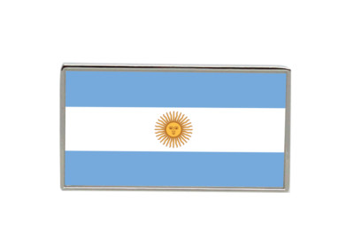 Argentina Flag Lapel Pin Badge | eBay