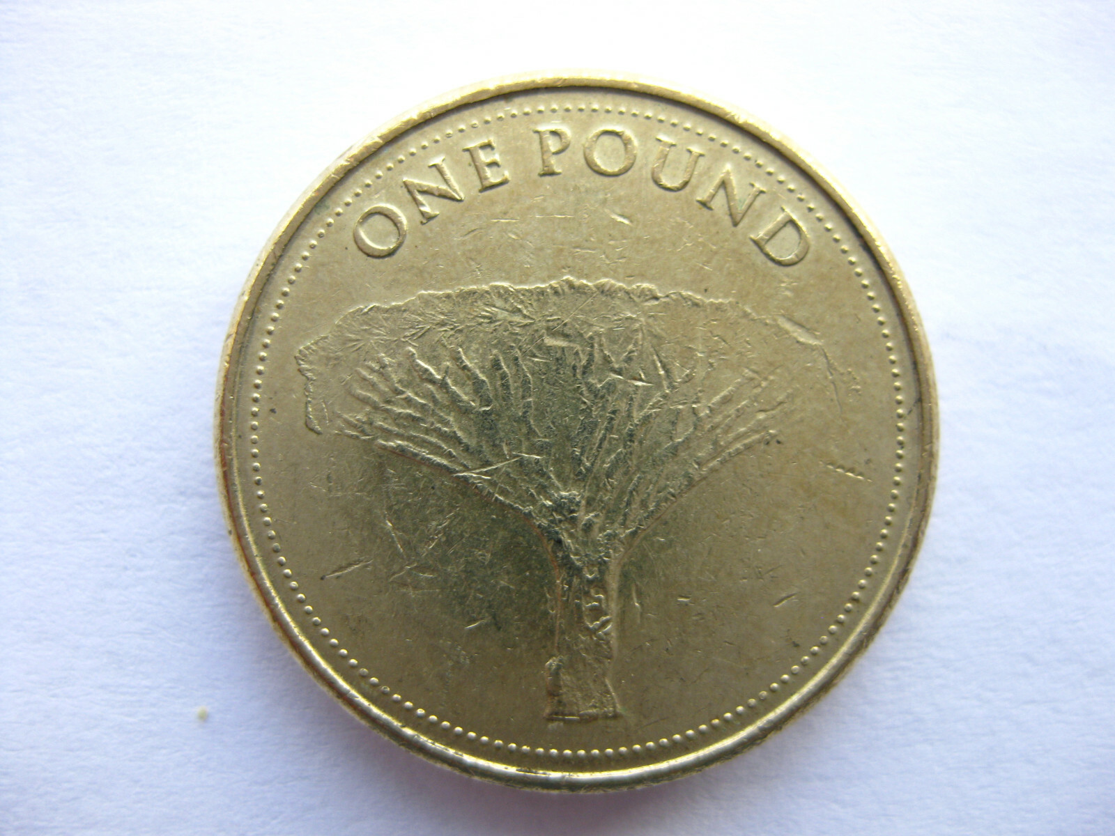 Old Round One Pound £1 Coins UK Gibraltar Isle of Man Jersey Guernsey ...