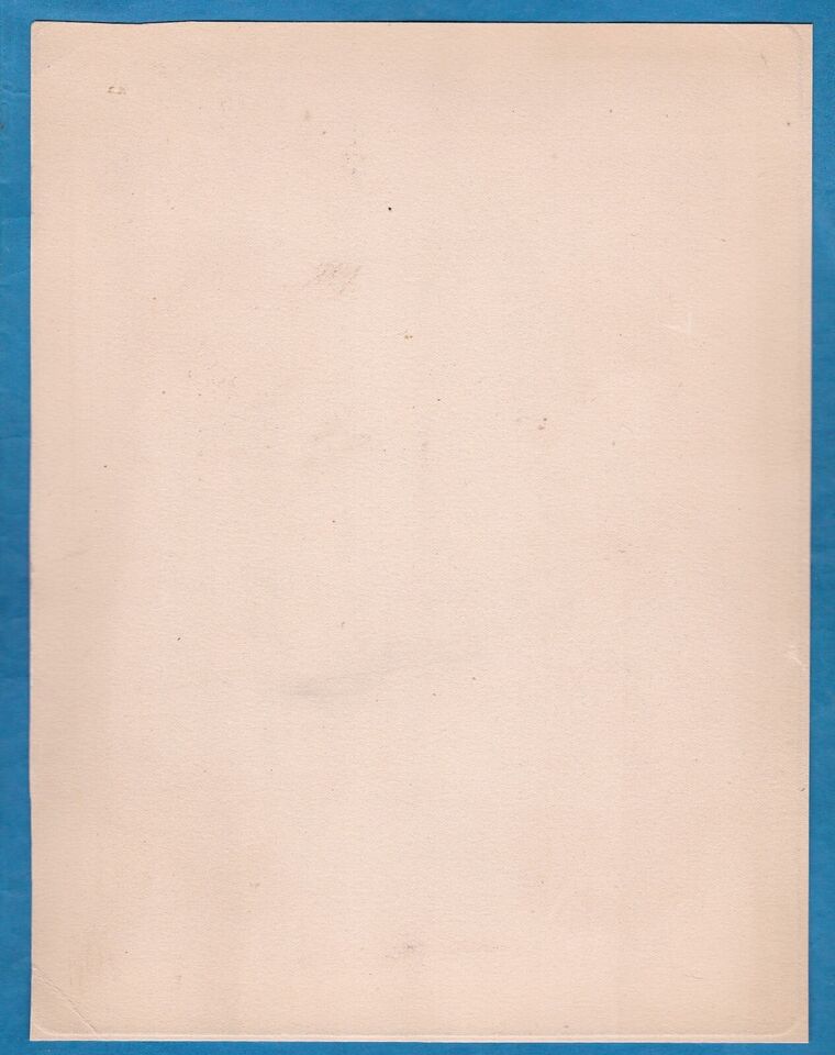 large vintage photo sport athletes beefcake muscle boy swimsuit gay ca ...