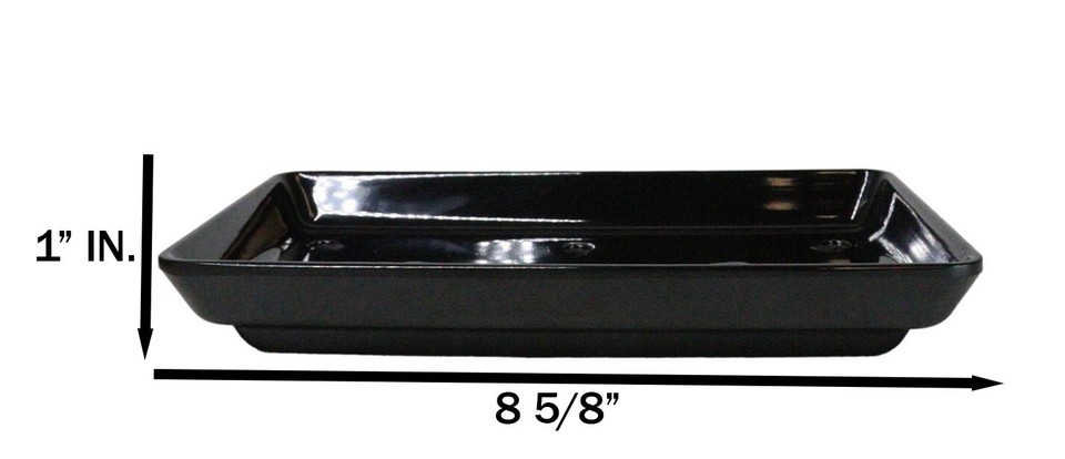 Pack Of 12 Black Neta Zara Sushi Case Sashimi Plates With Drip Holes 8. ...