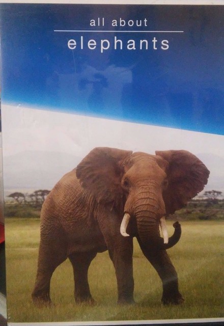 All About Elephants (DVD) NEW | eBay