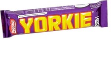 Yorkie Chocolate for sale | eBay