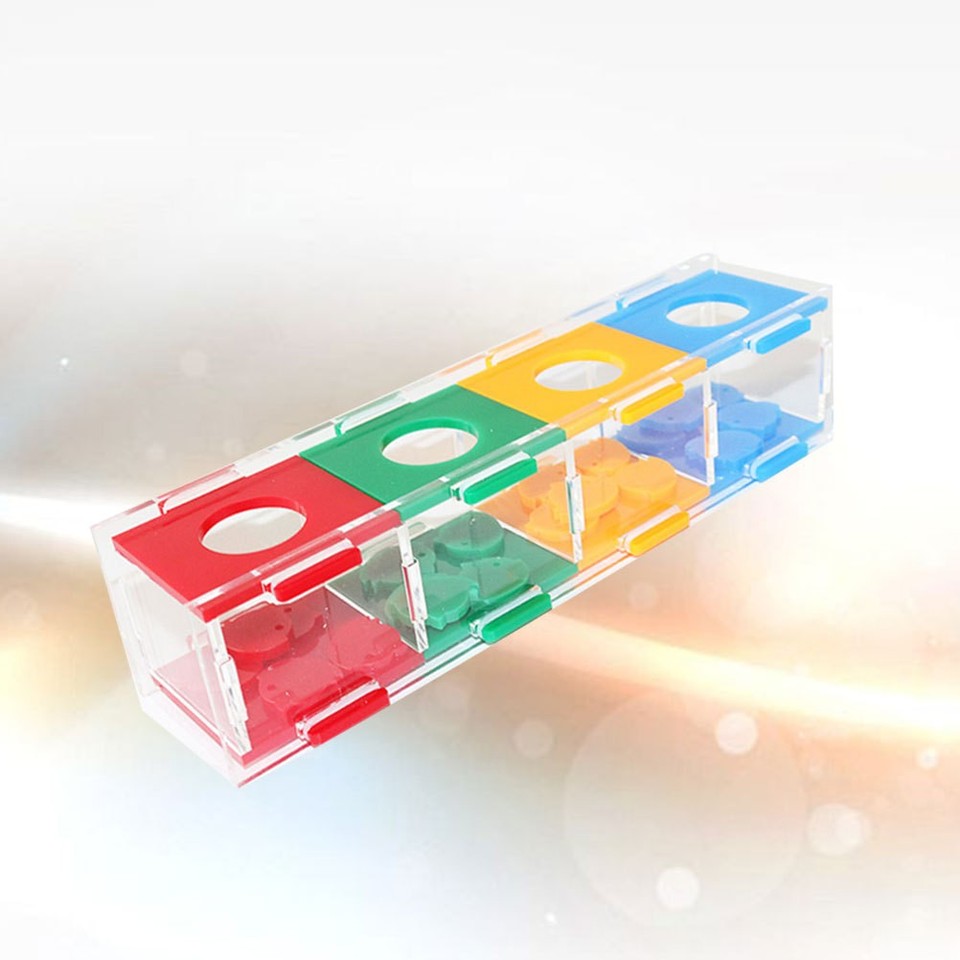 Coin Box Bird Colors Intelligence Training Toy for Parrot Macaw Playing ...