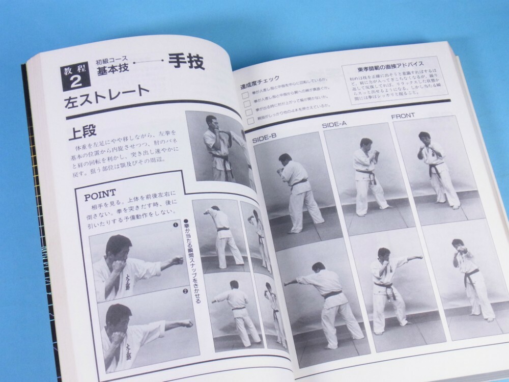 Daido Juku Karate Martial Arts Basic book Takashi Azuma Kudo MMA | eBay