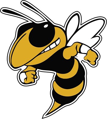 GT GEORGIA TECH Yellow Jackets Large Buzz Cornhole Decals / SET of 2 | eBay