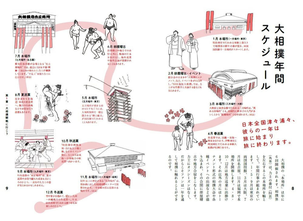 SUMO Wrestling Anatomy Illustration Book Japanese | eBay
