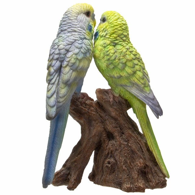 Parakeets Perching on Branch With Motion Activated Bird Sound ...