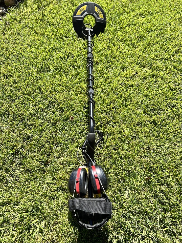 Surf Pi Pro Metal Detector - Modified | eBay