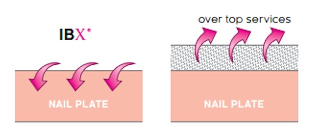 IBX Natural Nail Strengthening System - Duo Pack for sale online | eBay