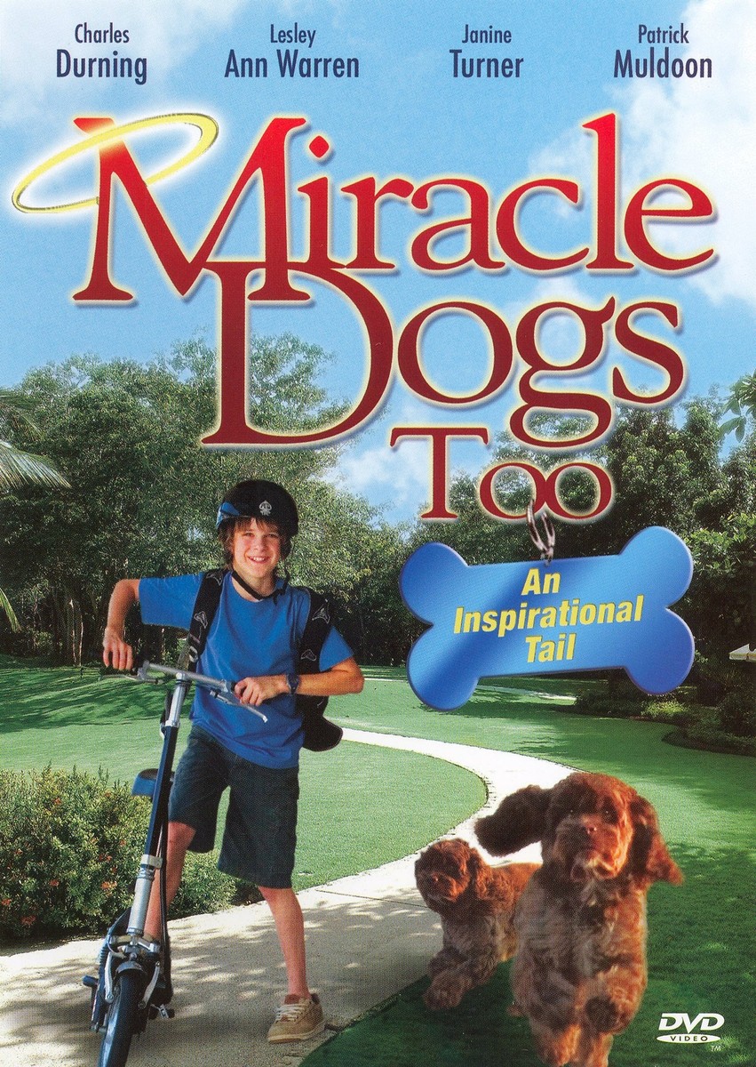 Miracle Dogs Too (DVD, 2006) for sale online | eBay