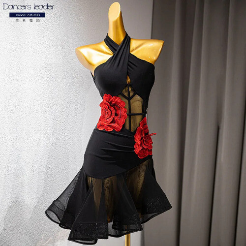 Latin Dance Dress Women Adult Stage Performance Dress Ballroom Samba ...