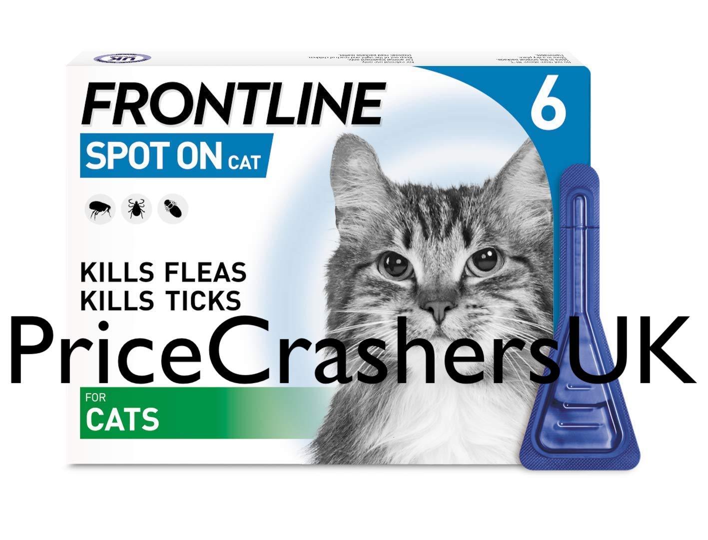 Frontline Spot On for Cats 1/3/6/12 Pipette Flea Infestation Biting ...