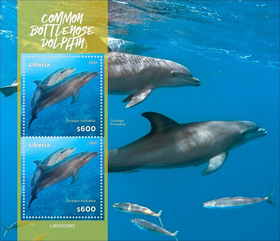 Common Bottlenose Dolphin MNH Stamps 2024 Liberia 2 M/S | eBay