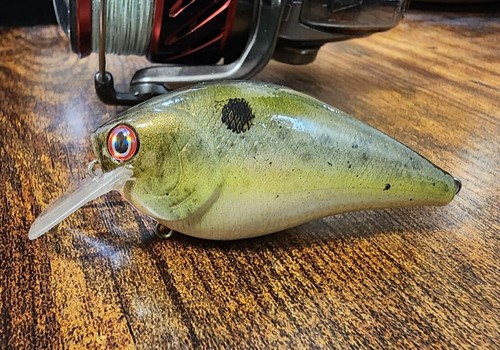 MaCo Customs Painted 2.5 Squarebill Crankbait PB Citrus Shad | eBay