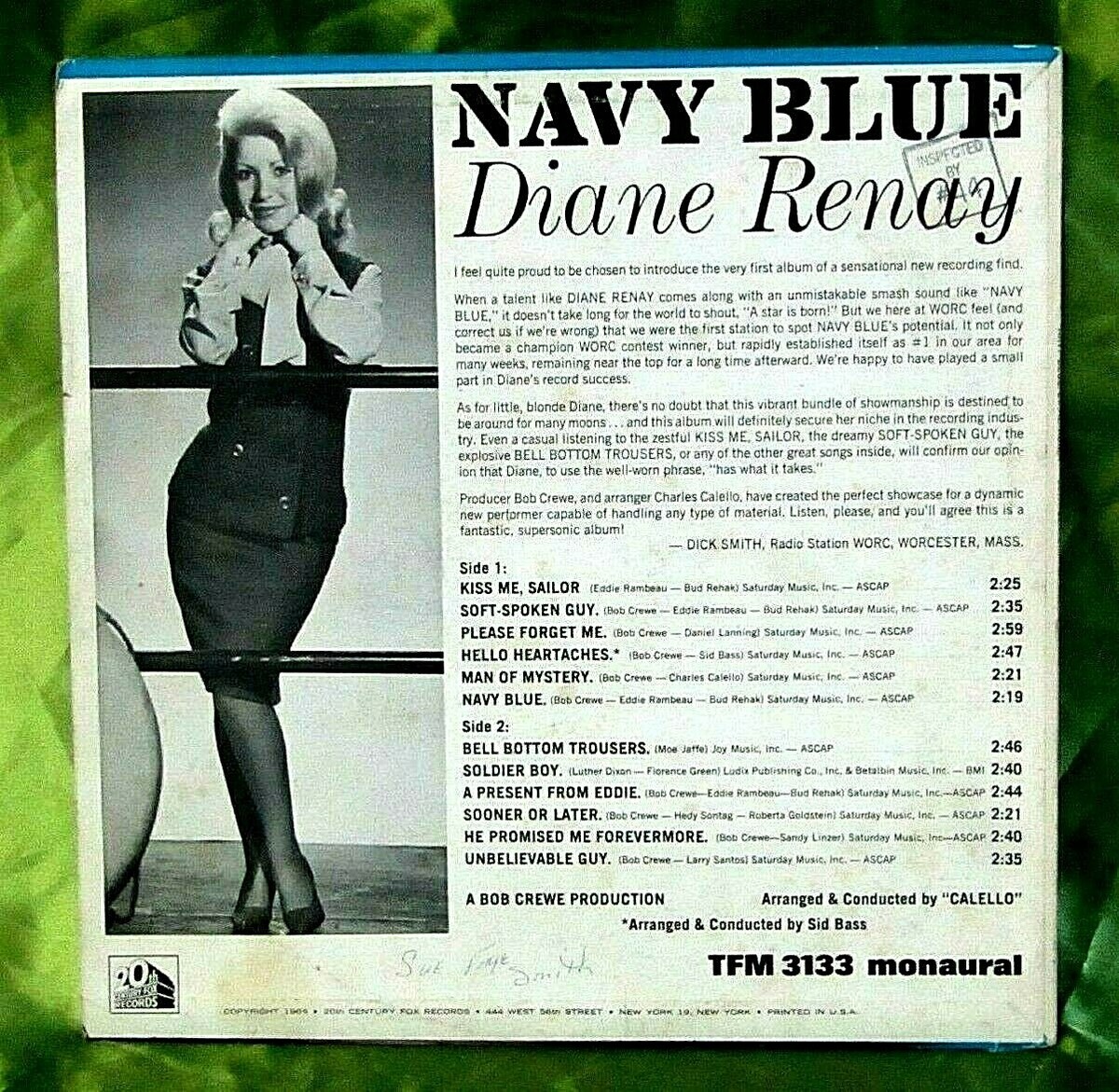 Diane Renay