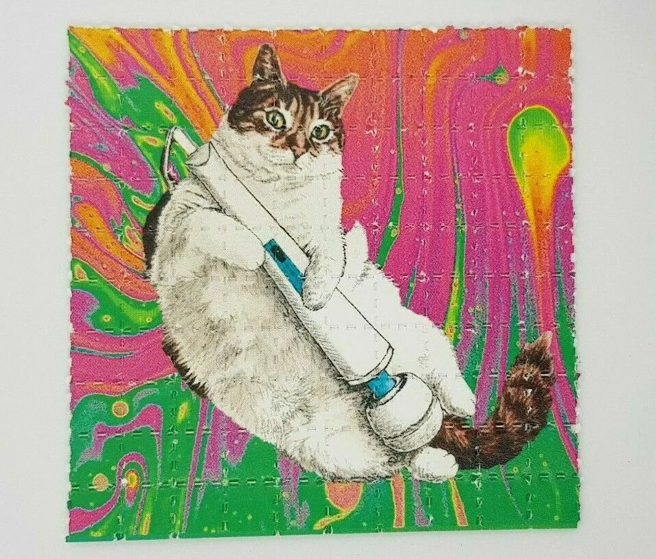 Acid Cat Drawing