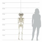 Two-Headed Life-Size Posable Skeleton Halloween Decoration | eBay