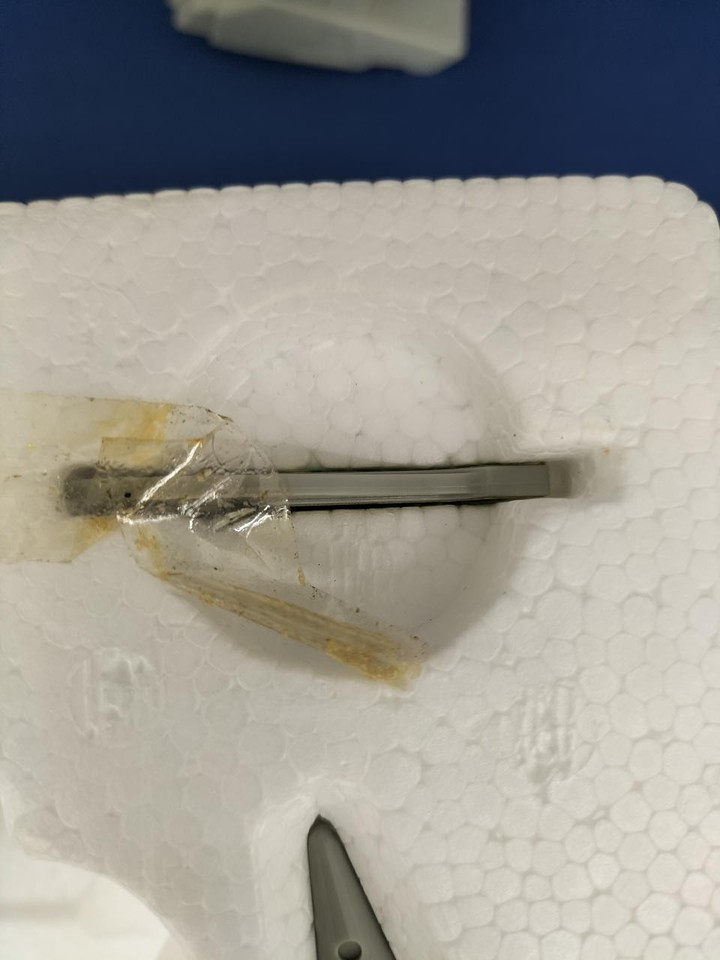 Bandai Dragon Caesar Dinosaur Sentai Zyuranger Japanese Edition | eBay