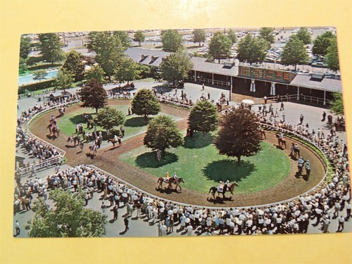 Monmouth Park Race Track Oceanport New Jersey vintage postcard Walking ...