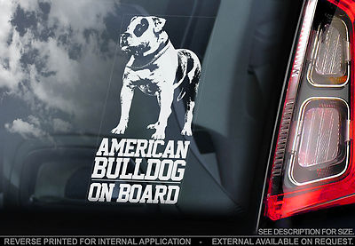 American Bulldog - Car Window Sticker - Dog on Board Bullie Bully Sign ...
