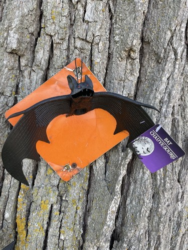 Black Flying Rubber Bat geocache container Perfect To Hide In Plain ...