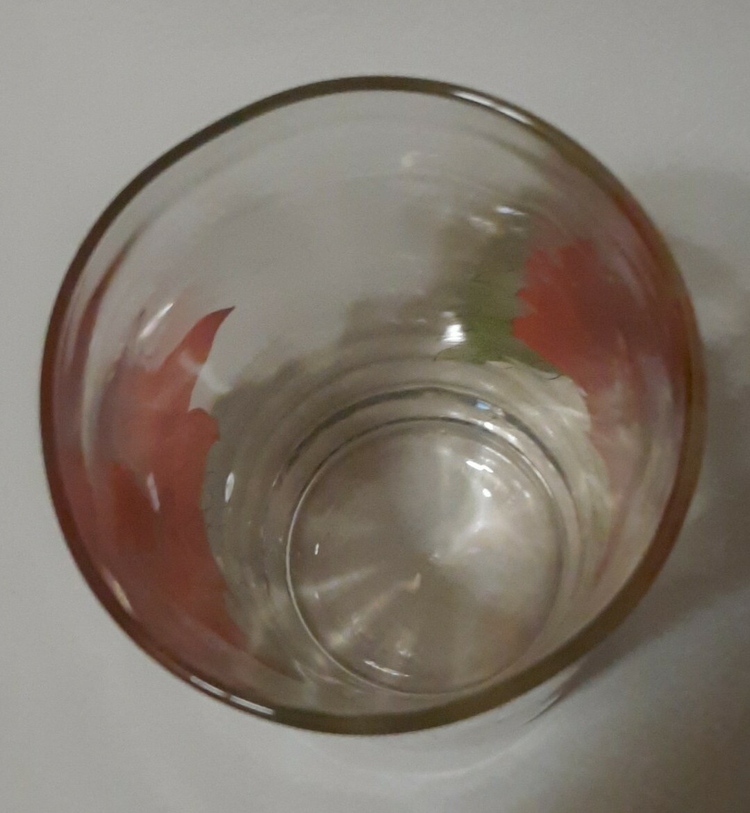 Block Spal Mary Lou Goertzen Poinsettia 4 Glass Tumblers (5.75”) Crisal ...