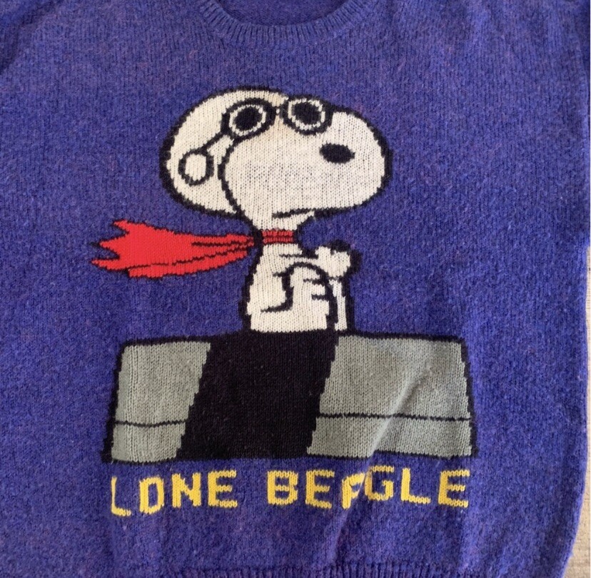 Vintage 1958 United Feature Syndicate Snoopy Lone Bea… - Gem