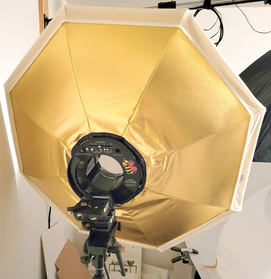 Paul C Buff Alien Bees ABR800 Ringflash w/Soft Box & Access. | eBay