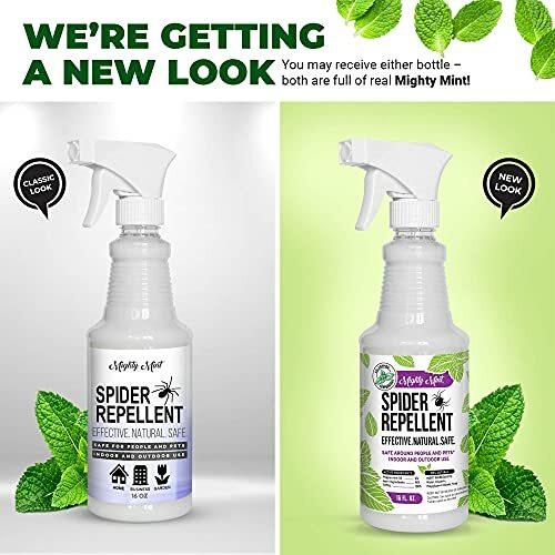 Mighty Mint - 16oz Spider Repellent Peppermint Oil - Natural Spray for ...