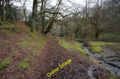 Photo 6x4 Path to Bedford Bridge Horrabridge This whole area was very ...