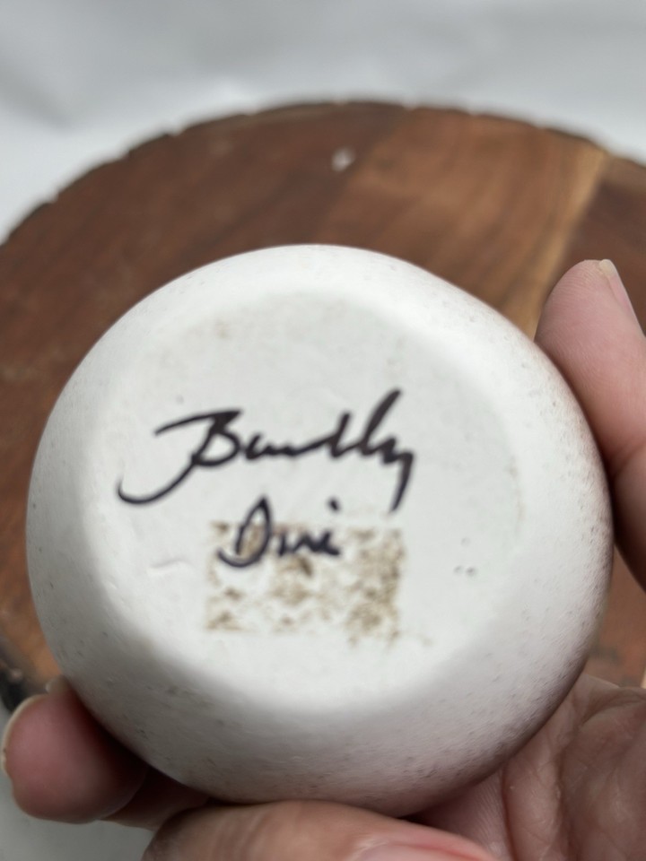 Benally Dine Cedar Mesa Native American Made Navajo Pottery Weed Pot | eBay