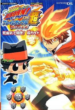 Strategy Guide NDS Action Game DS Katekyo Hitman REBORN! DS Flame ...