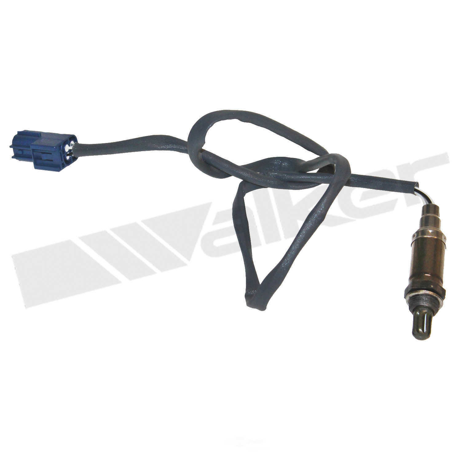 Oxygen Sensor-GAS, Eng Code: VQ35DE, FI, Natural Rear Walker Products ...