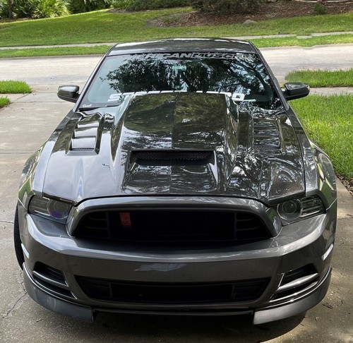 Vis Racing Carbon Fiber Hood Terminator For 10-12 2dr Ford MUSTANG | eBay