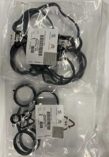 Valve Cover Gasket Set 0249E6 For Peugeot Mini Citroen 1.6 16V EP6DT ...