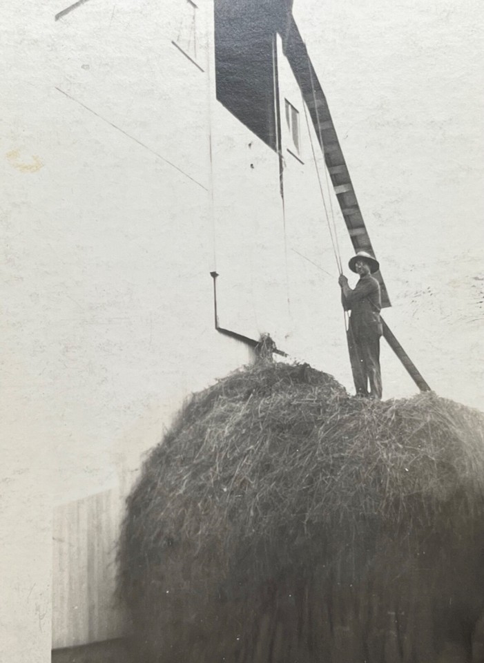 Rural Farmer on Huge Haystack at Barn Vintage Art Snapshot Photo 1920s ...