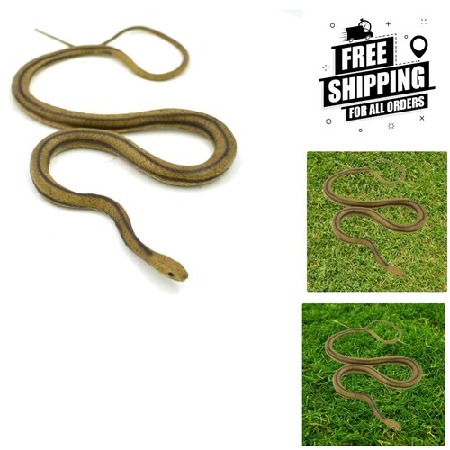 Educational 48" Yellow Rat Snake - Lifelike Rubber Replica for Kids ...