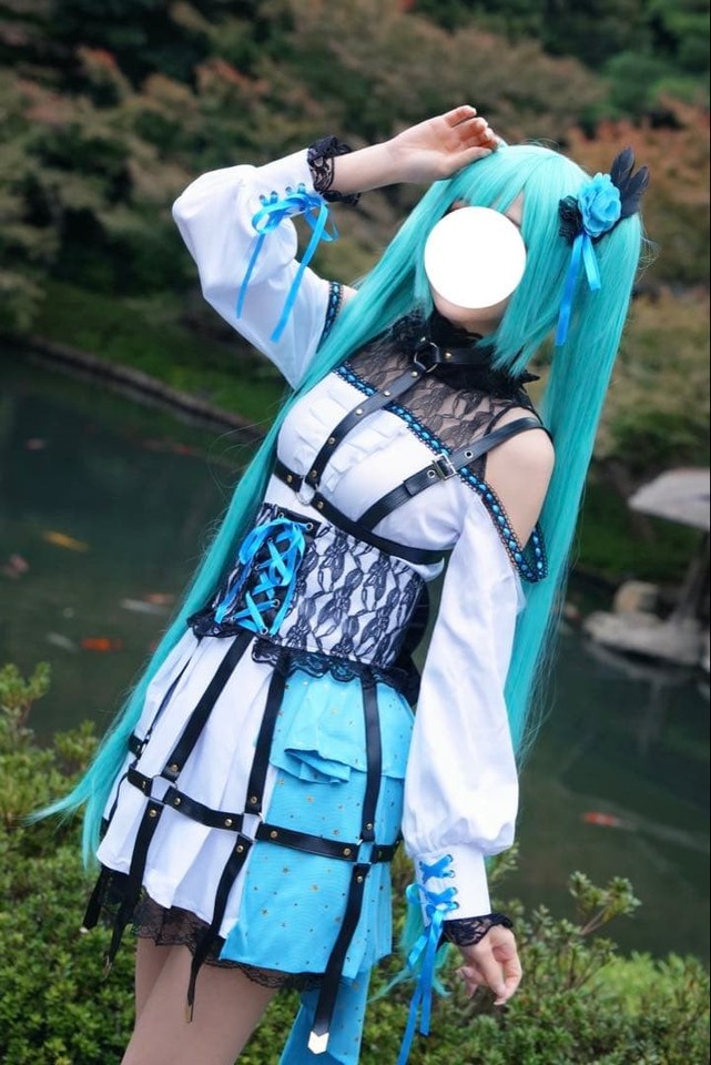 Hatsune Miku Rose Cage Proseka Cosplay Full Set Wig SSize Used Japan | eBay