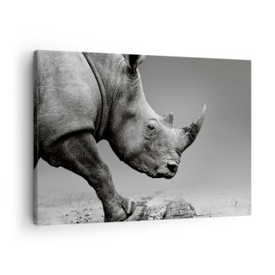 Wandbilder 70x50cm Leinwandbild Nashorn Monochrom Tier Klein Bilder ...