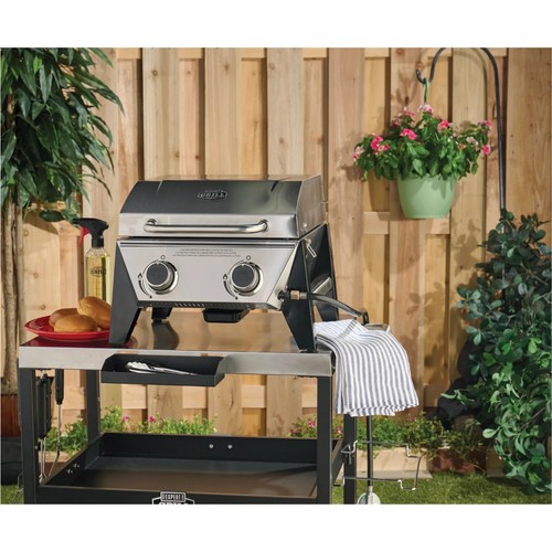 Expert Grill 2-Burner Tabletop Gas Grill, Stainless Steel, 13,000 BTUs ...